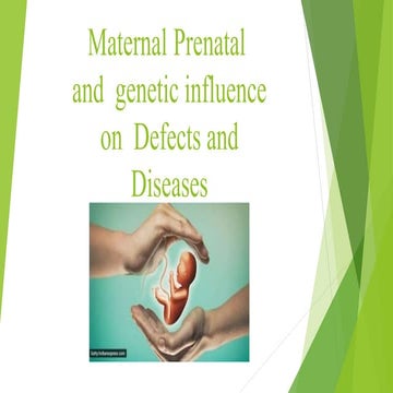 maternalprenatalandgeneticinfluenceondef | PPT