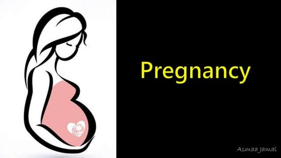 Pregnancy & Different Stages | PPT
