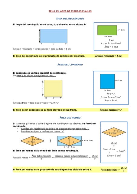 El reino de las plantas esquema 1ºESO | PDF