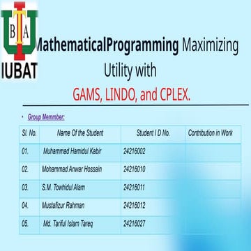 Mathematical Programming for Traffic forecasting .pptx