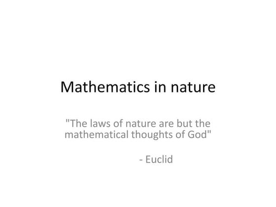 Mathematical patterns in nature | PDF | Geography | Science