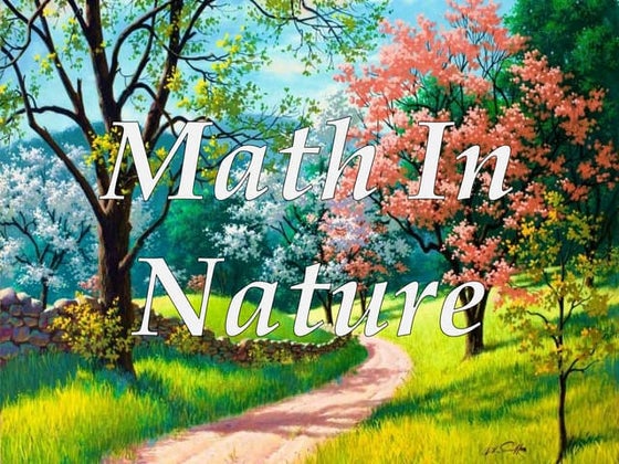 Mathematical patterns in nature | PDF | Geography | Science