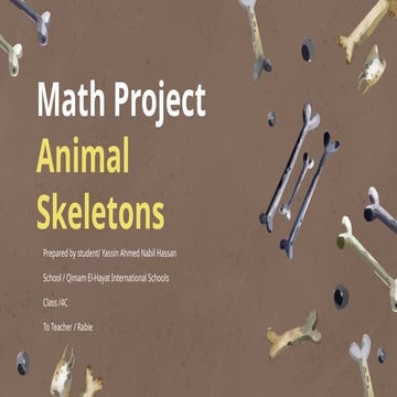 111111Math project-Animal Skeletons.pptx