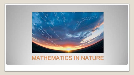 Mathematical patterns in nature | PDF | Geography | Science