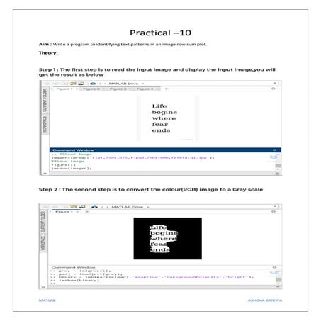 Matlab Practical 11pdf