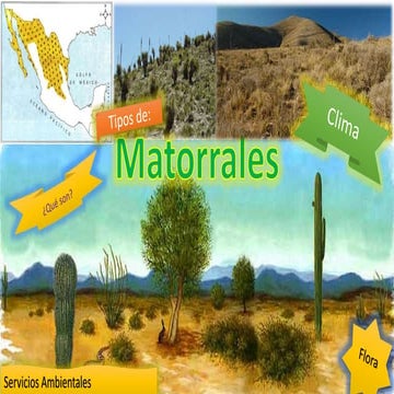 Servicios ambientales matorrales | PPT