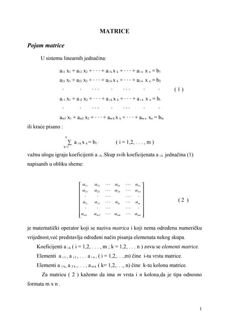 Matrice i determinante poslovna matematika | PDF
