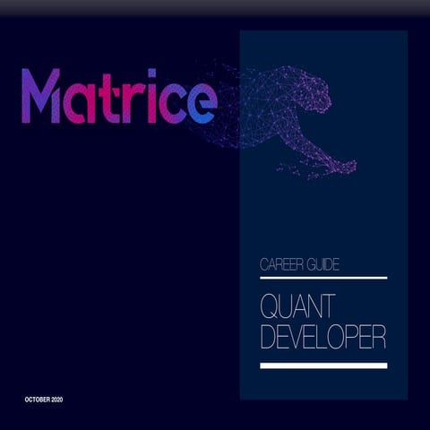 Quant Developer Career Entry Guide | Matrice.co.uk