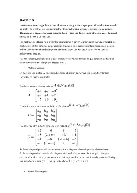 Tipos de matrices 2 | DOC | Physics | Science