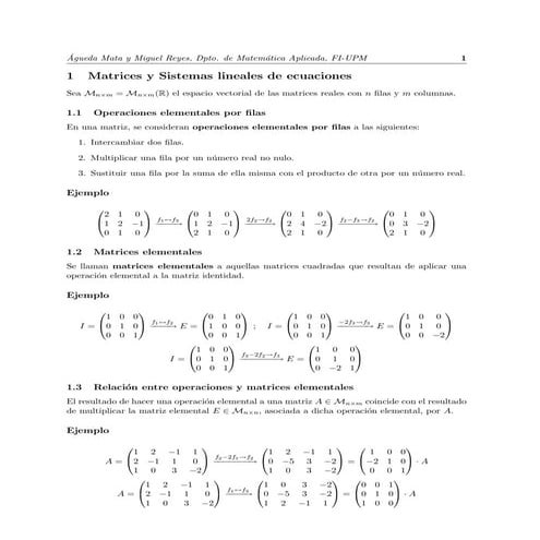 temas selectos de Algebra Lineal como ejercicios y ejemplos | PDF