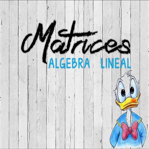 Matrices imagenes | PPTX