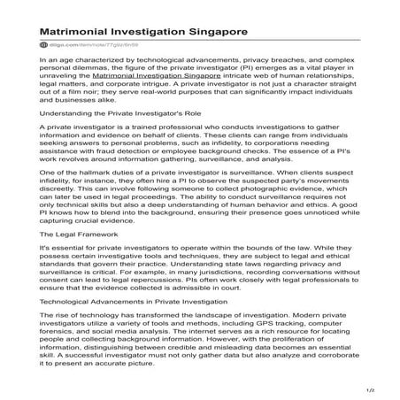 Matrimonial Investigation Singapore.pdf Matrimonial Investigation ...