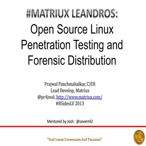 Matriux Leandros - BSidesLV 2013 | PPTX