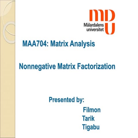 Matrixfactorization Ppt