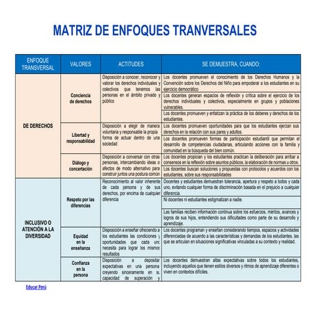 MATRIZ DE ENFOQUES TRANSVERSALES CNEB.docx