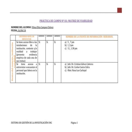 Matriz de viabilidad | DOCX