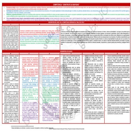 MATRIZ DE DPCC - 2022 CONCLUIDO.docx