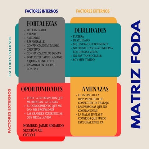 MATRIZ FODA PERSONAL - EDUARDO (1).pdf