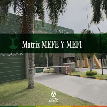 matriz mefe y mefi.pptx