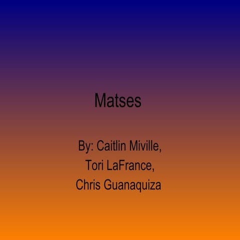 Matses | PPT