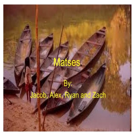 Matses | PPT