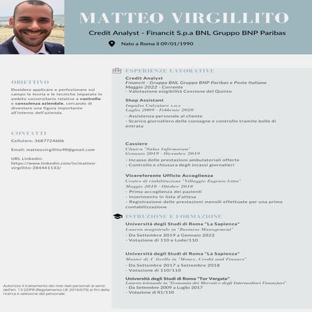 Curriculum vitae luca gravina | PDF