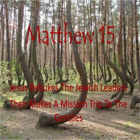 Matthew 15, Doctrine Divides, Sound Doctrine Not Traditions, Your ...