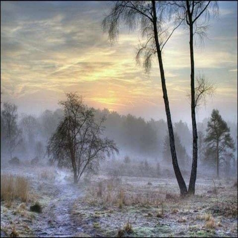 Matthew 2, herod, magi, hermeneutics, star, shepherds, if thens, angry ...