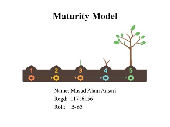 Levelling Up - Five Real World Examples of Incremental Maturity | PDF | Web Development | Internet