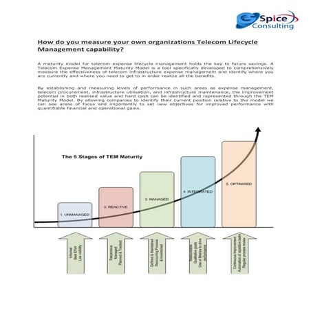 Maturity model tem gscl v1 | PDF