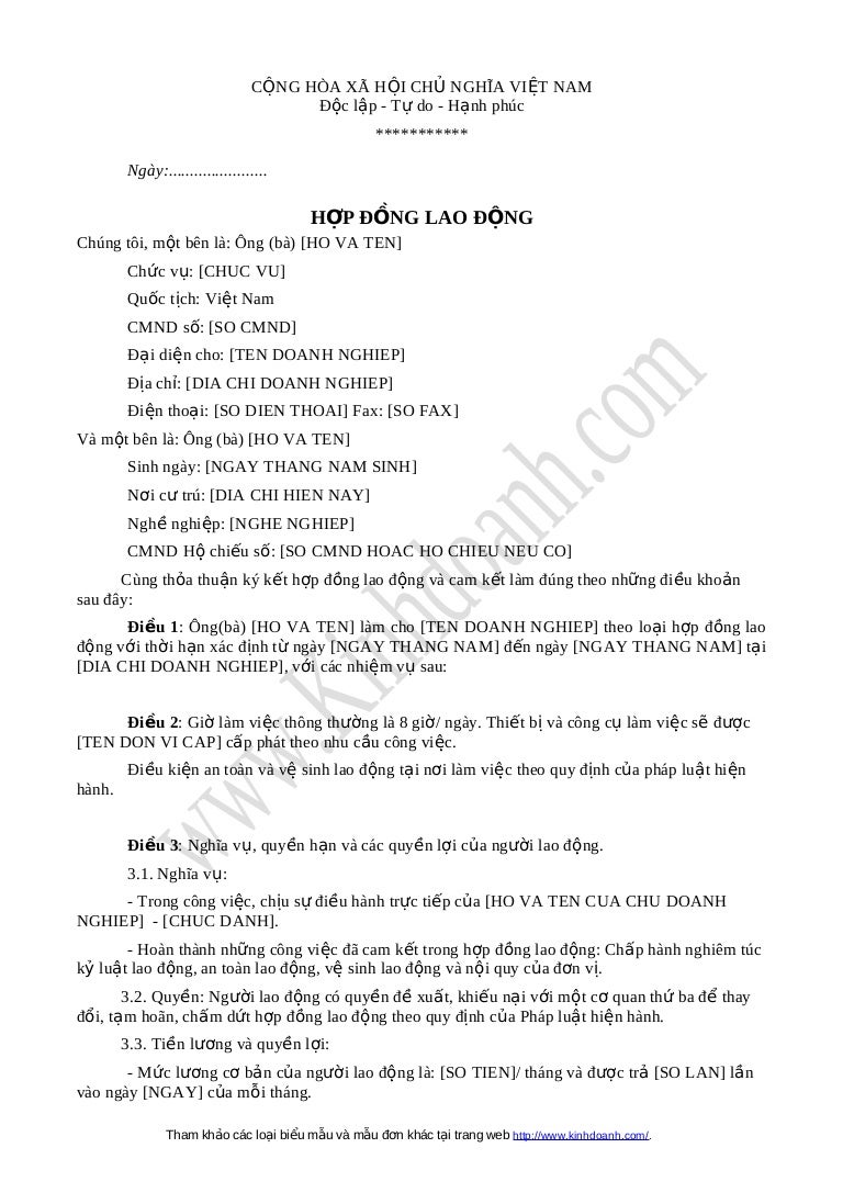 Mau hop-dong-lao-dong