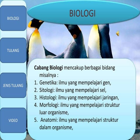 biology lesson | PPT
