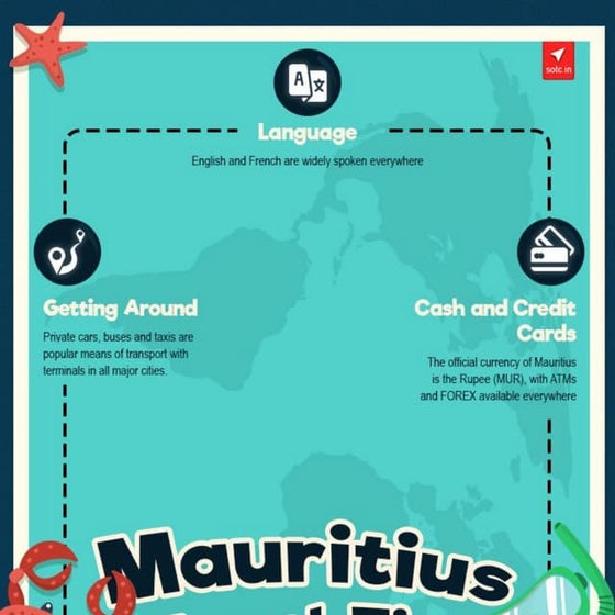 8 Facts about the Egypt Pyramids | PDF | Business Travel | Travel Type