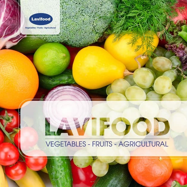 Mẫu Thiết kế Brochure công ty thực phẩm Lavifood | PDF