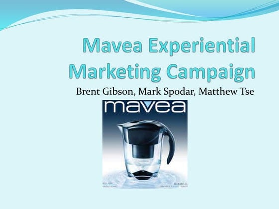 Soldier's Training Guide to the Officer Record Brief_02MAY12 | PDF