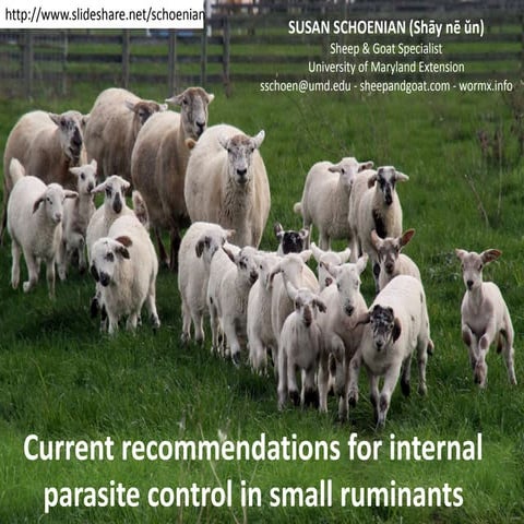 Current recommendations for internal parasite control in small ...
