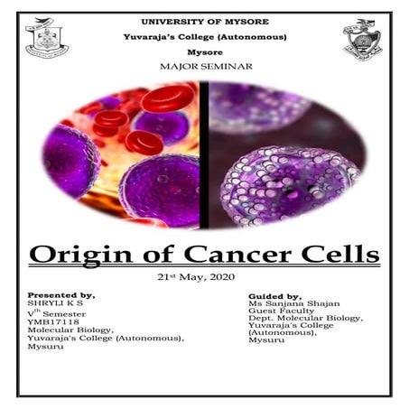 Origin of Cancer Cells | PDF