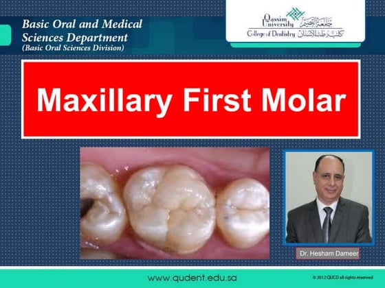 Permanent mandibular first molar | PPTX