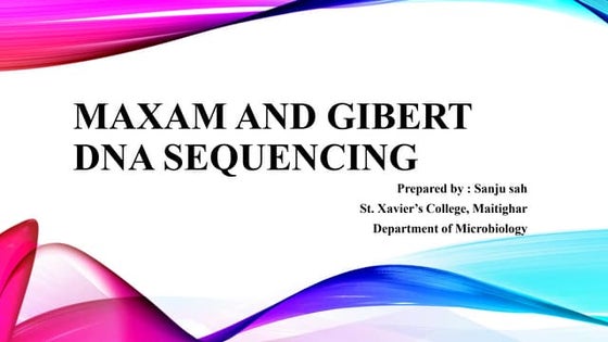 Maxam–Gilbert sequencing | PPT