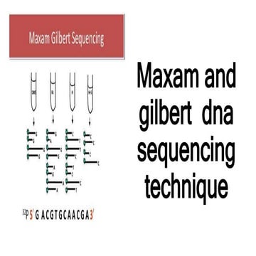 Maxam and gilbert dna sequencing. | PPTX
