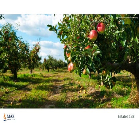 Max Estate 128 Brochure_.pdf