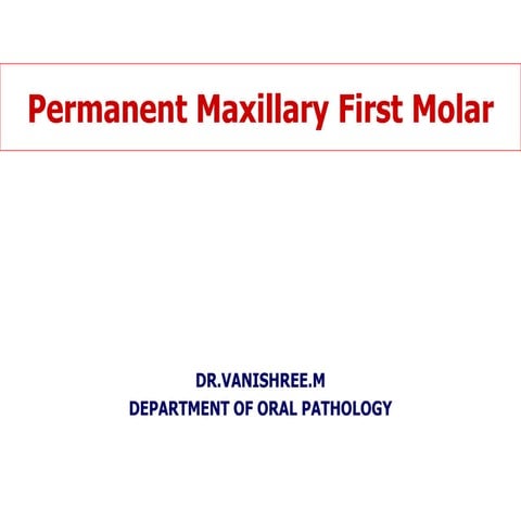 Morphology of Permanent Maxillary Central Incisor- Dr. Saba Arshad.pptx
