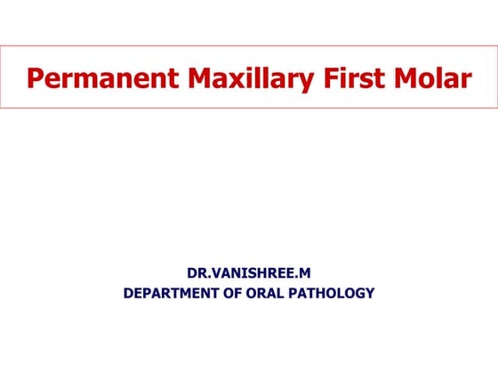 The Permanent Maxillary First Molar | PPT