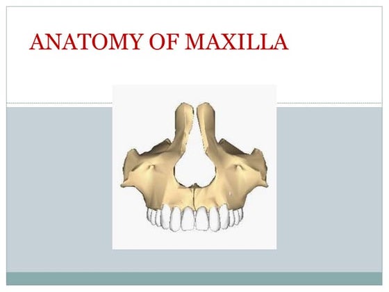 X-RAY PNS.pptx