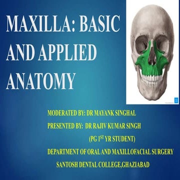 Maxilla basics and applied anatomy DR RAJIV.pptx