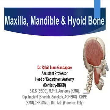Maxilla, Mandible & Hyoid Bone by Dr. RIG.pptx