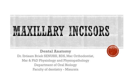 Maxillary Central Incisor | PPTX