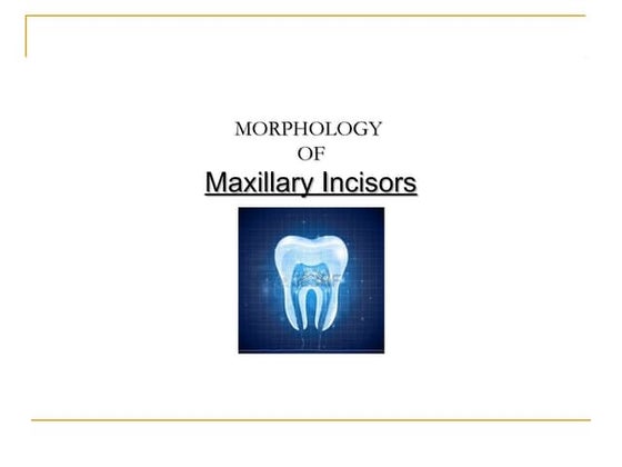 morphology of maxillary & mandibular canine teeth | PPT