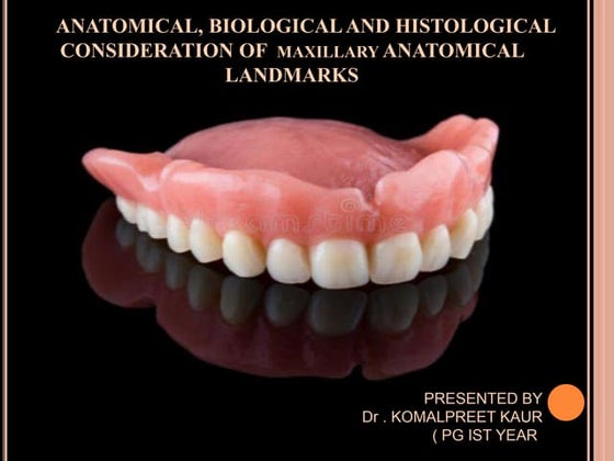 Soft Palate And Hard Palates Muscles.pptx