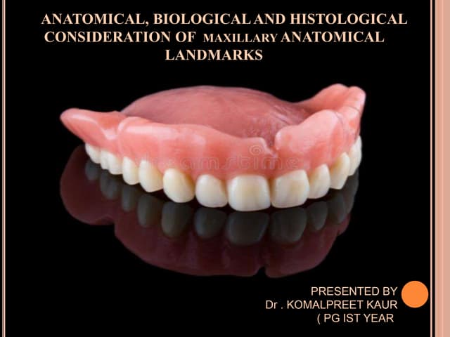 Role of facial muscles in complete denture prosthesis | PPTX